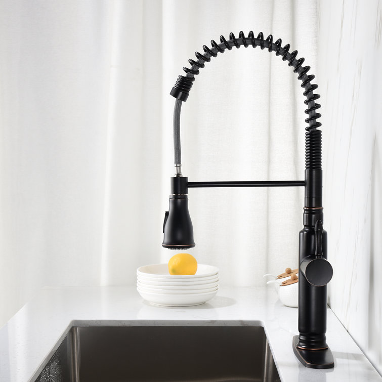 Interbath Pull Down Kitchen Faucet | Wayfair